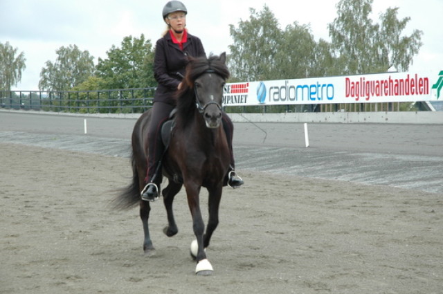 Hun er den typiske hest.no-leseren