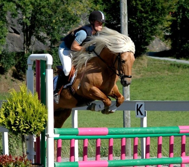 Kan ende som museumsgjenstander
