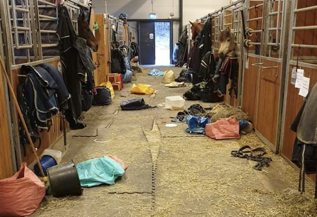 Flere hester skadet etter uønsket stallbesøk